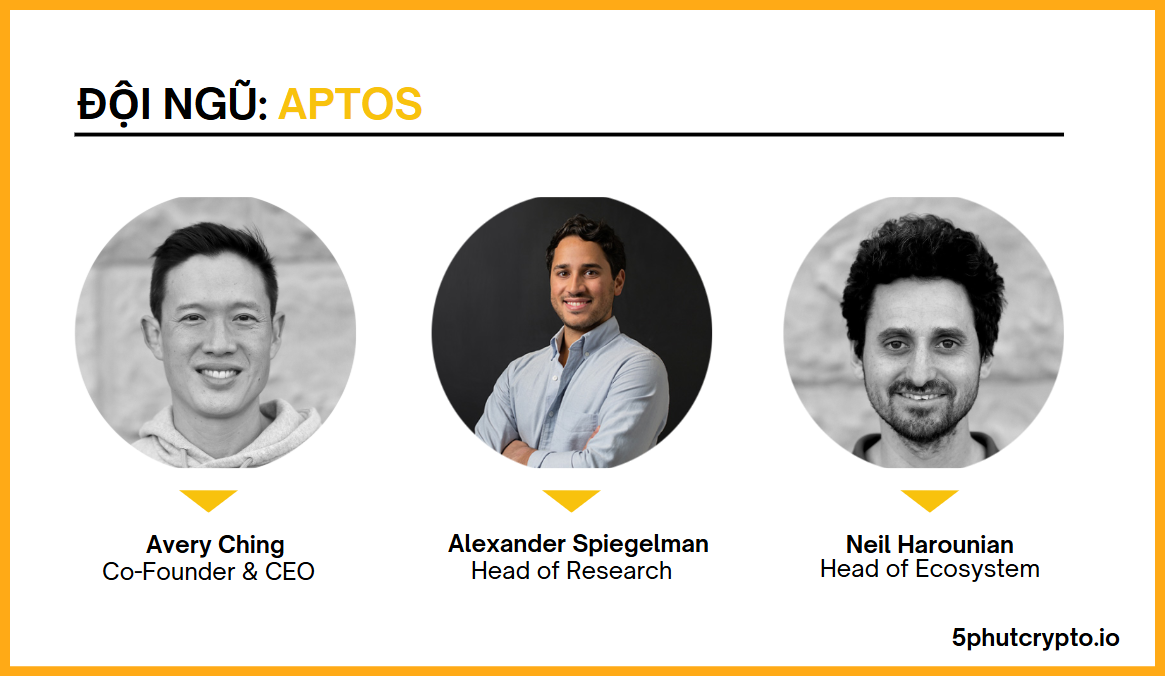 Aptos là gì? Cơ hội kiếm tiền trên hệ sinh thái Aptos